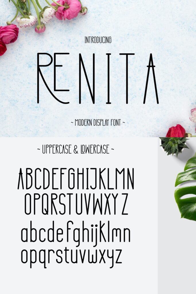 Renita - Modern Display Font - MasterBundles
