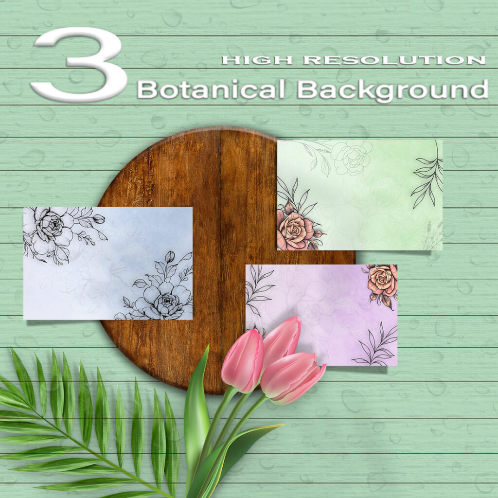 3 Beautiful Botanical Background - MasterBundles