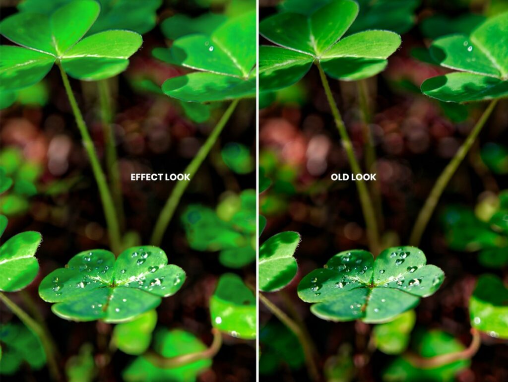 Green Color Photoshop Action - MasterBundles