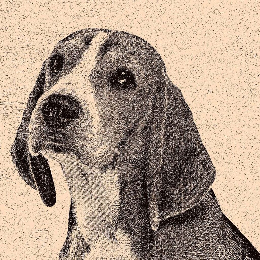 Old Texture Photo Tracing Photoshop - MasterBundles