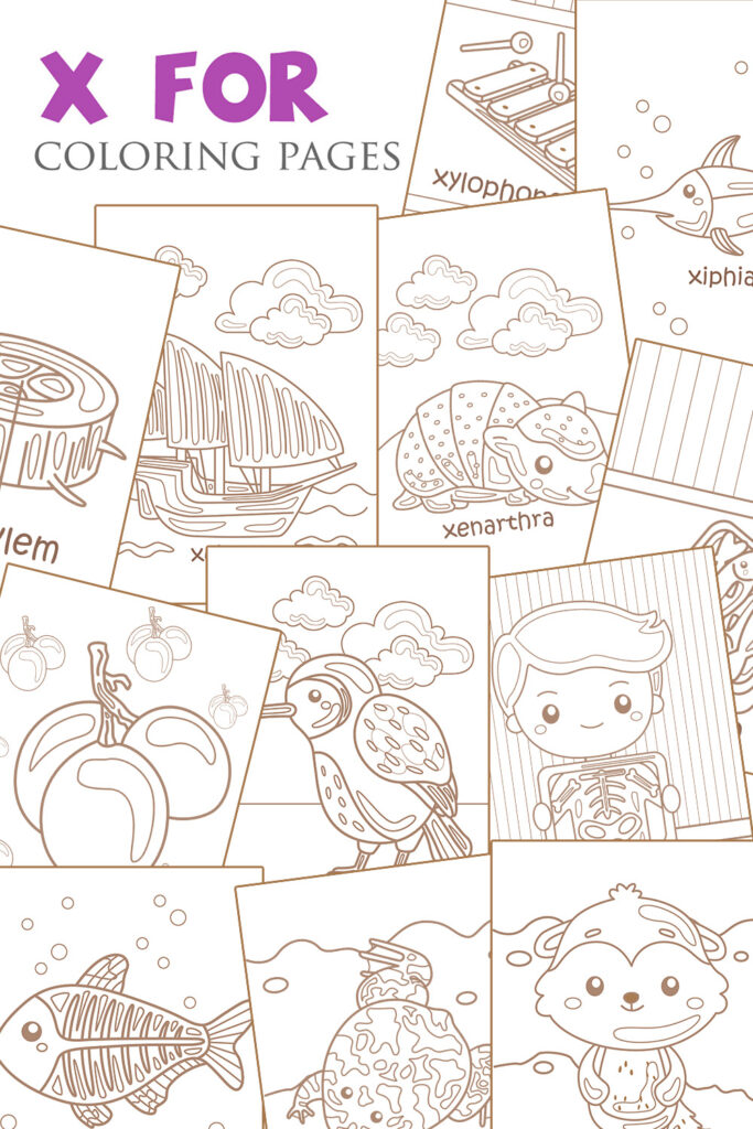 Alphabet X For Vocabulary School Letter Reading Writing Font Study ...