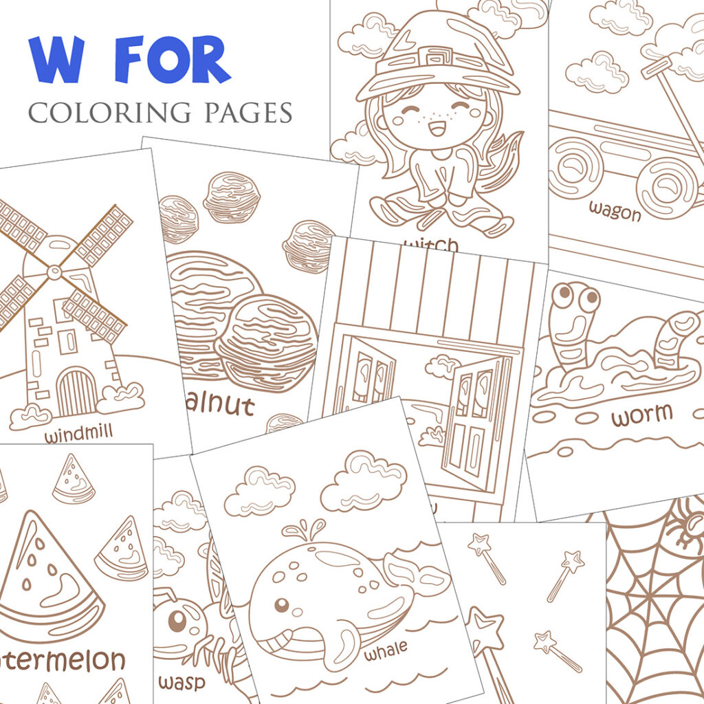 Alphabet W For Vocabulary School Letter Reading Writing Font Study ...