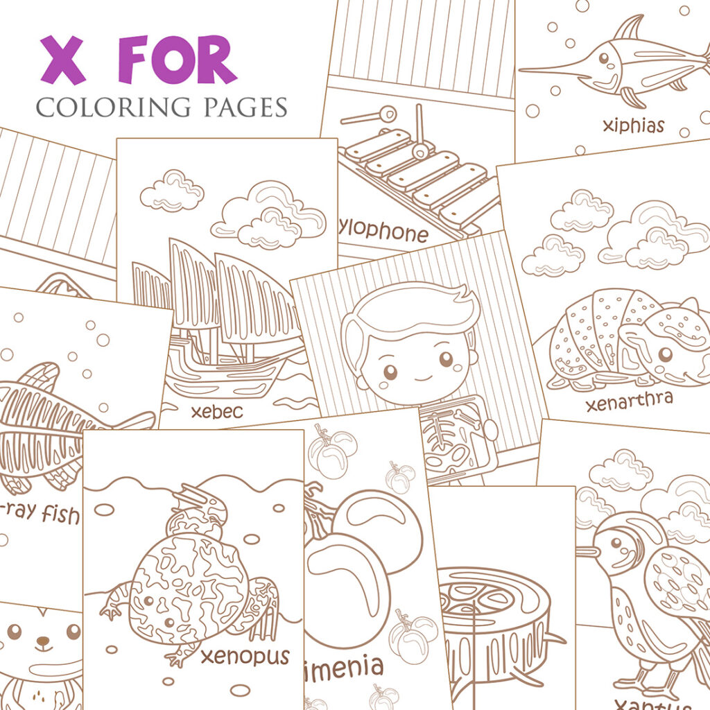 Alphabet X For Vocabulary School Letter Reading Writing Font Study ...