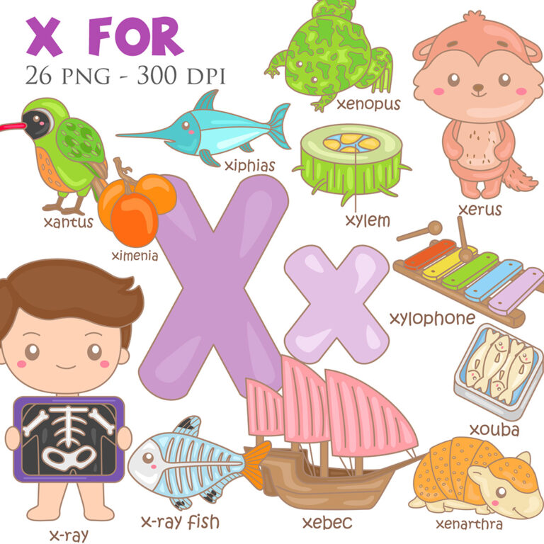 Alphabet X For Vocabulary School Letter Reading Writing Font Study ...