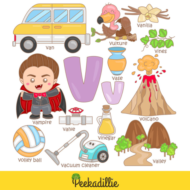 Alphabet V For Vocabulary School Letter Reading Writing Font Study ...