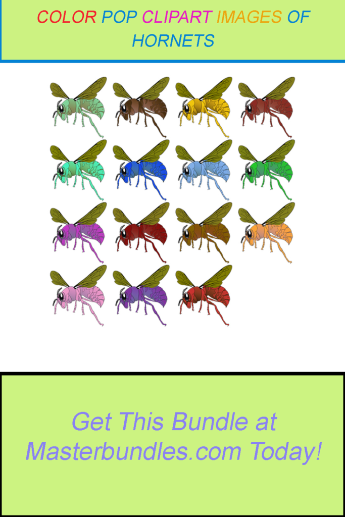 15 COLOR POP CLIPART IMAGES OF HORNETS - MasterBundles