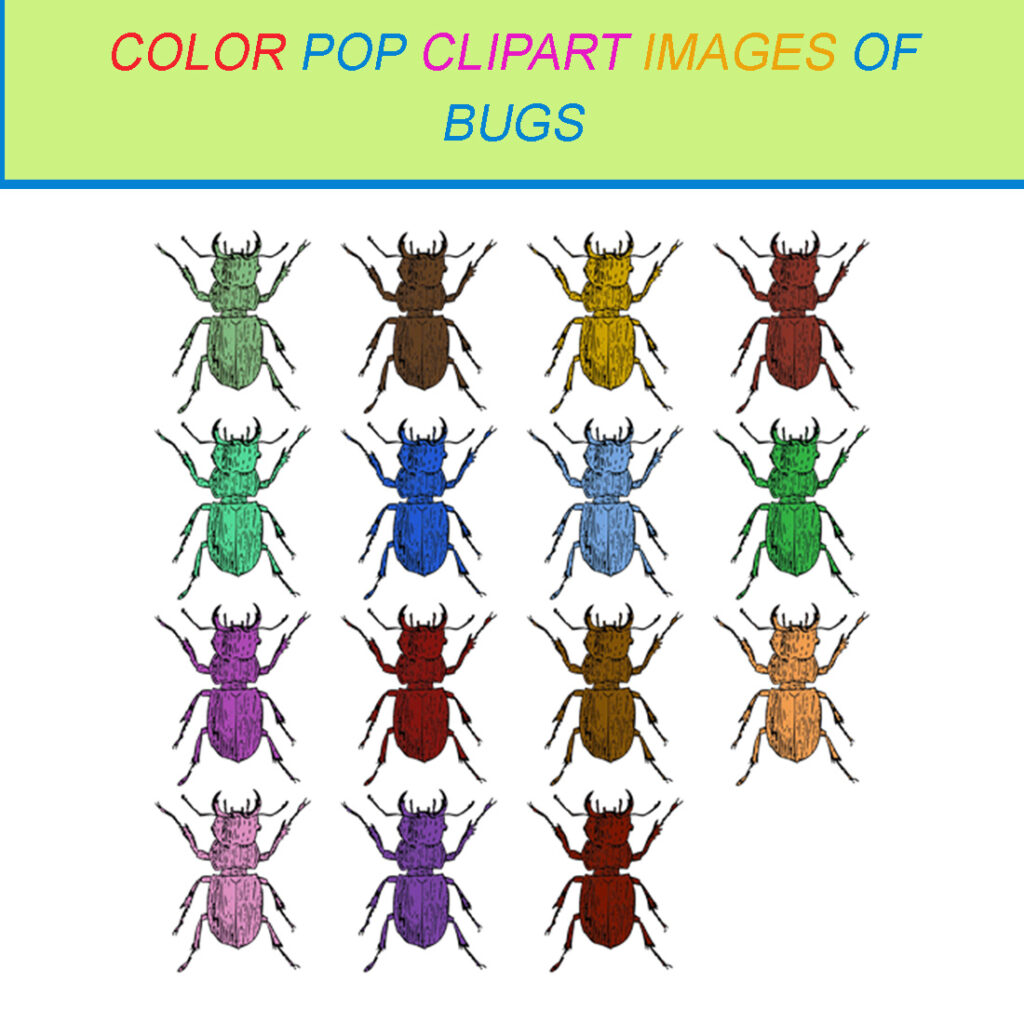 15 COLOR POP CLIPART IMAGES OF BUGS - MasterBundles