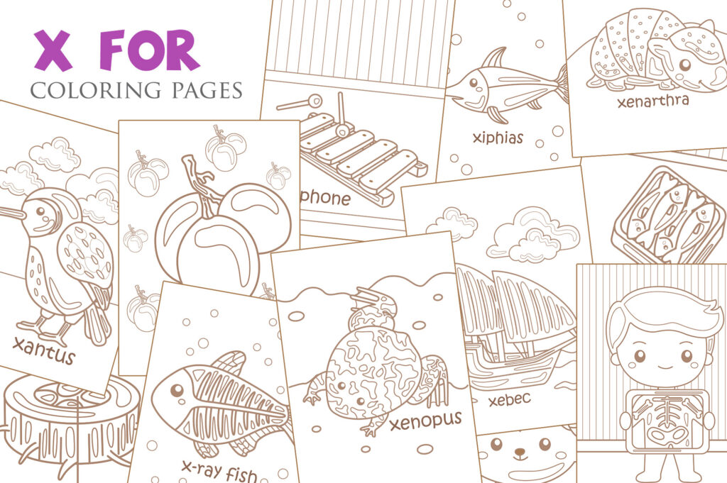 Alphabet X For Vocabulary School Letter Reading Writing Font Study ...