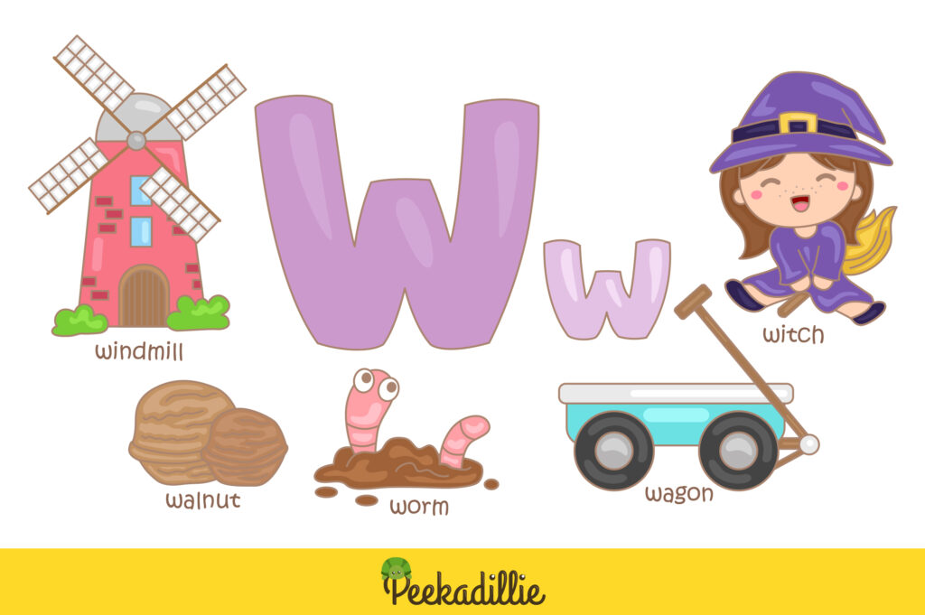 Alphabet W For Vocabulary School Letter Reading Writing Font Study ...