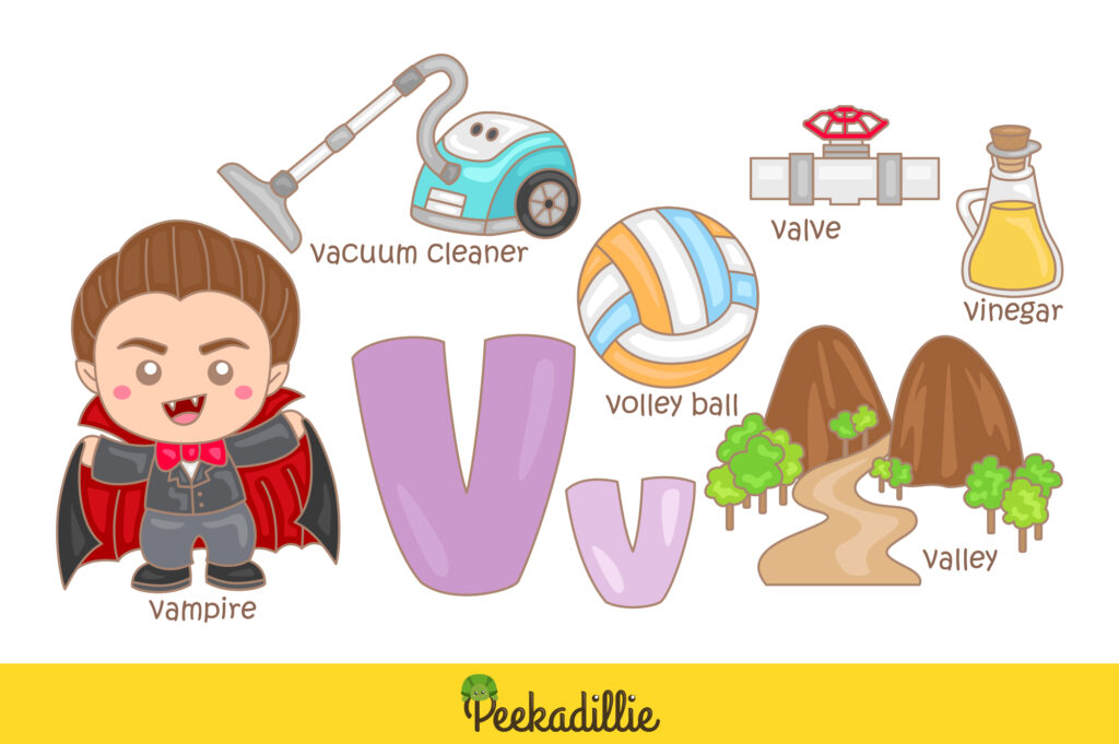 Alphabet V For Vocabulary School Letter Reading Writing Font Study ...