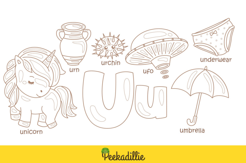 Alphabet U For Vocabulary School Letter Reading Writing Font Study ...