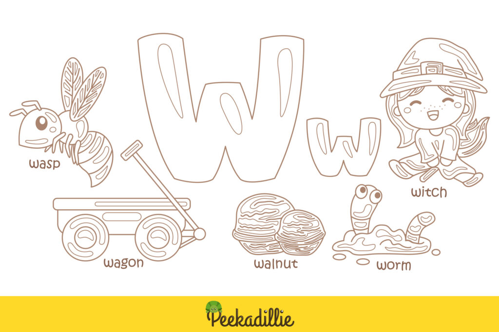 Alphabet W For Vocabulary School Letter Reading Writing Font Study ...