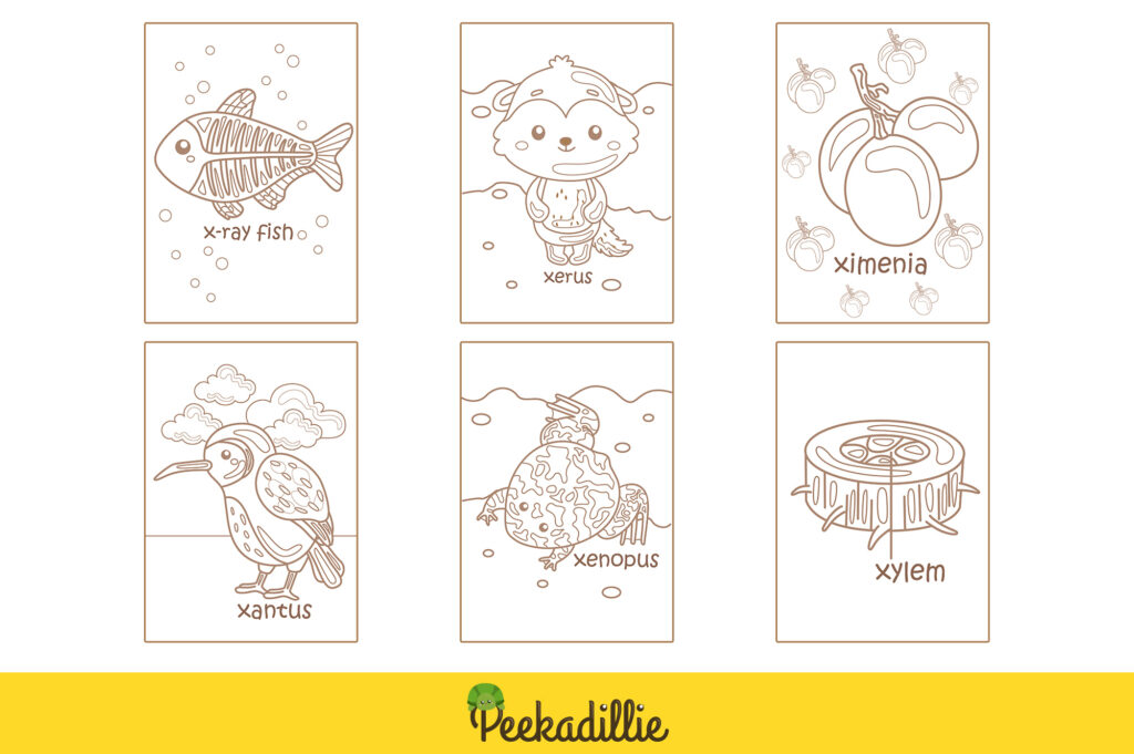 Alphabet X For Vocabulary School Letter Reading Writing Font Study ...