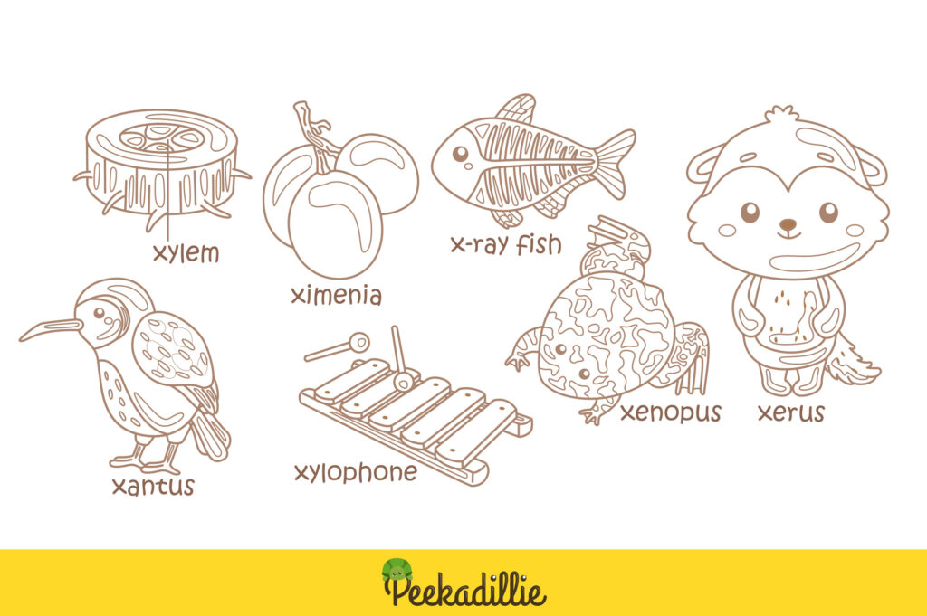 Alphabet X For Vocabulary School Letter Reading Writing Font Study ...