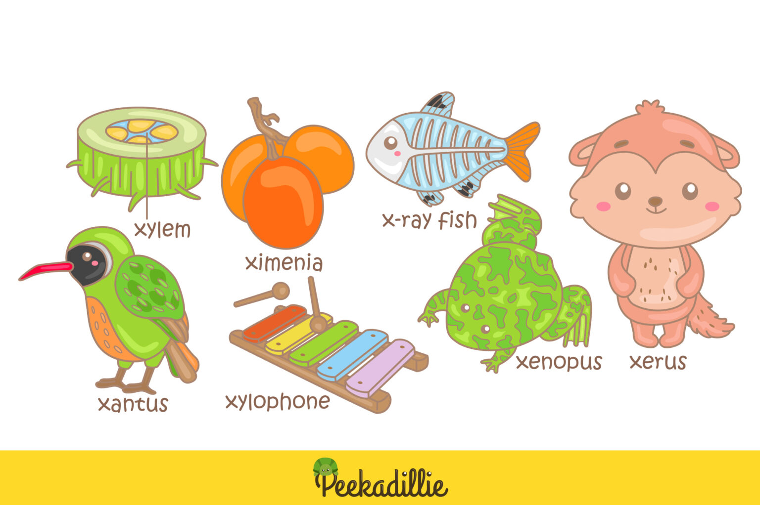 Alphabet X For Vocabulary School Letter Reading Writing Font Study ...