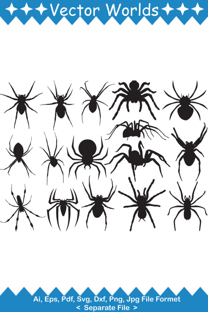 Spider SVG Vector Design - MasterBundles