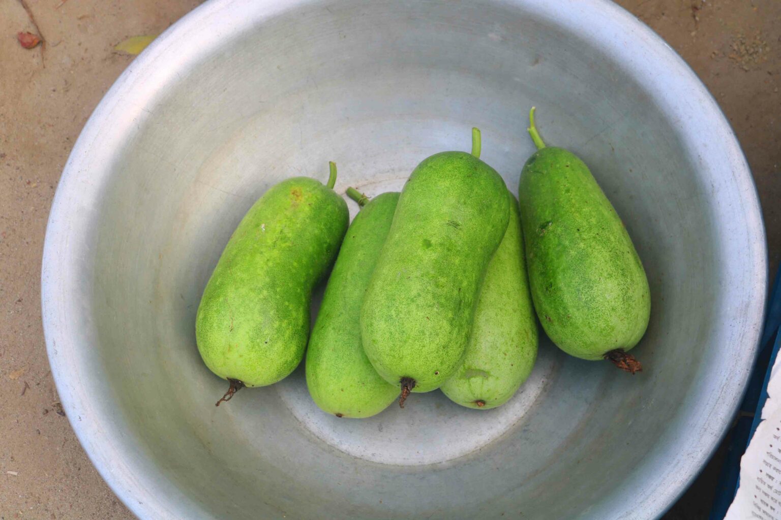 Tree Ghar village people & roads stock photos in Bangladesh - MasterBundles