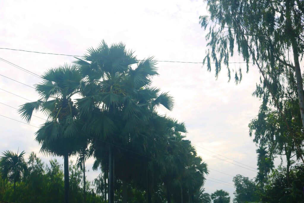 Tree Ghar village people & roads stock photos in Bangladesh - MasterBundles