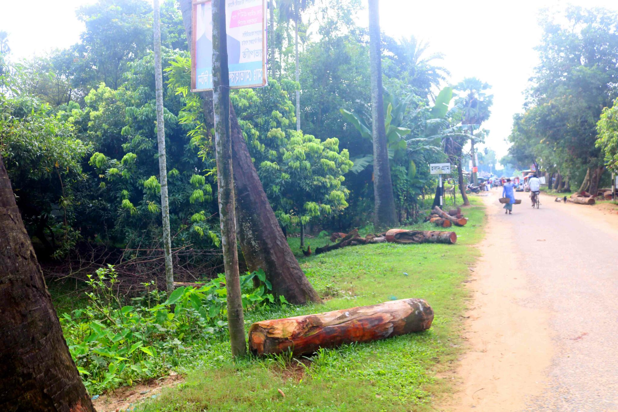 Tree Ghar village people & roads stock photos in Bangladesh - MasterBundles
