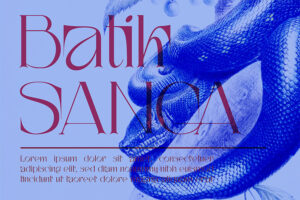 JHELO - Serif Font - MasterBundles
