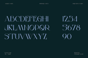 JHELO - Serif Font - MasterBundles