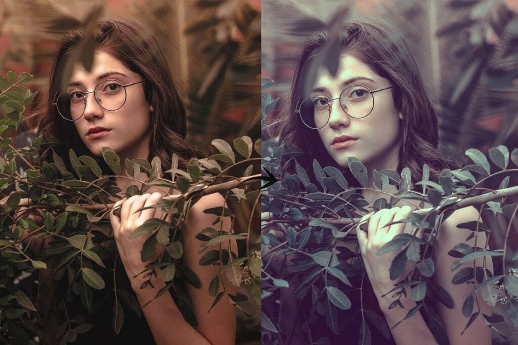 100+ Photography Color Grading - MasterBundles