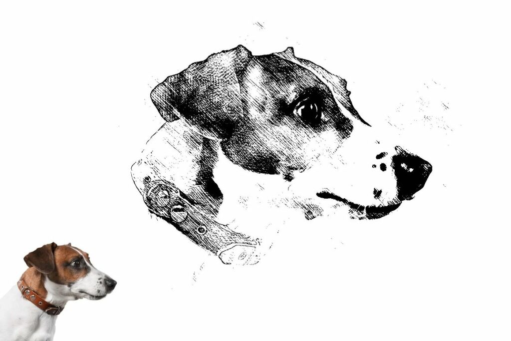 Texture Portrait Tracing Plugin - MasterBundles