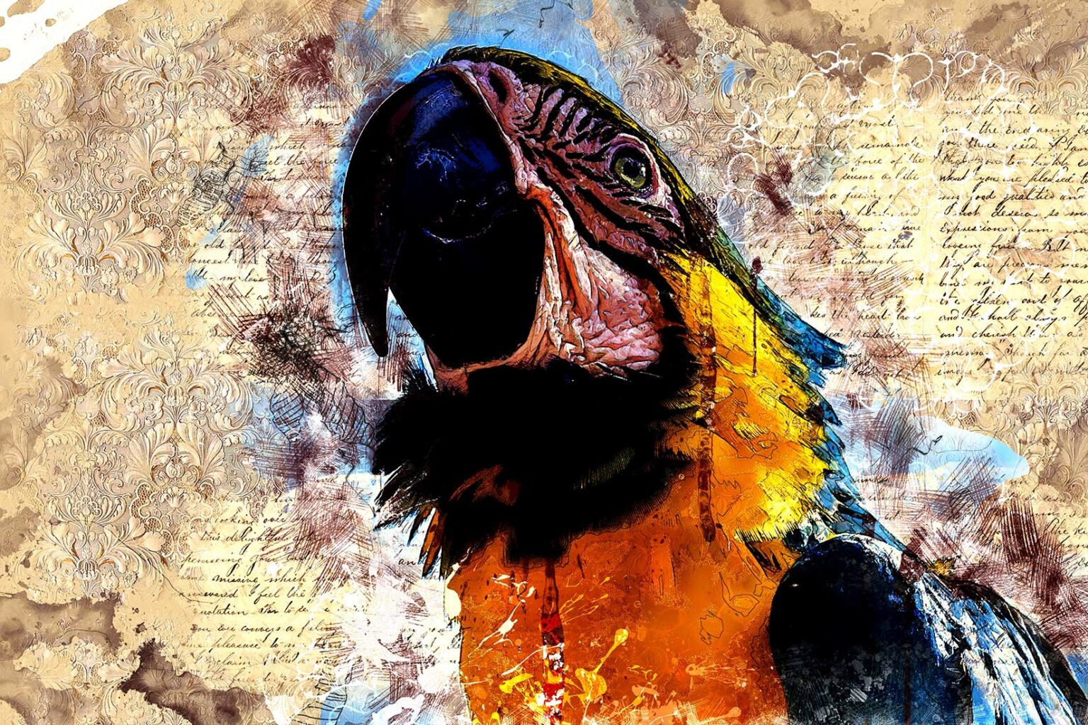 BEAUTIFUL BIRDS - Bundle Of 72 HQ 300 dpi Graphics Ready To Print ...