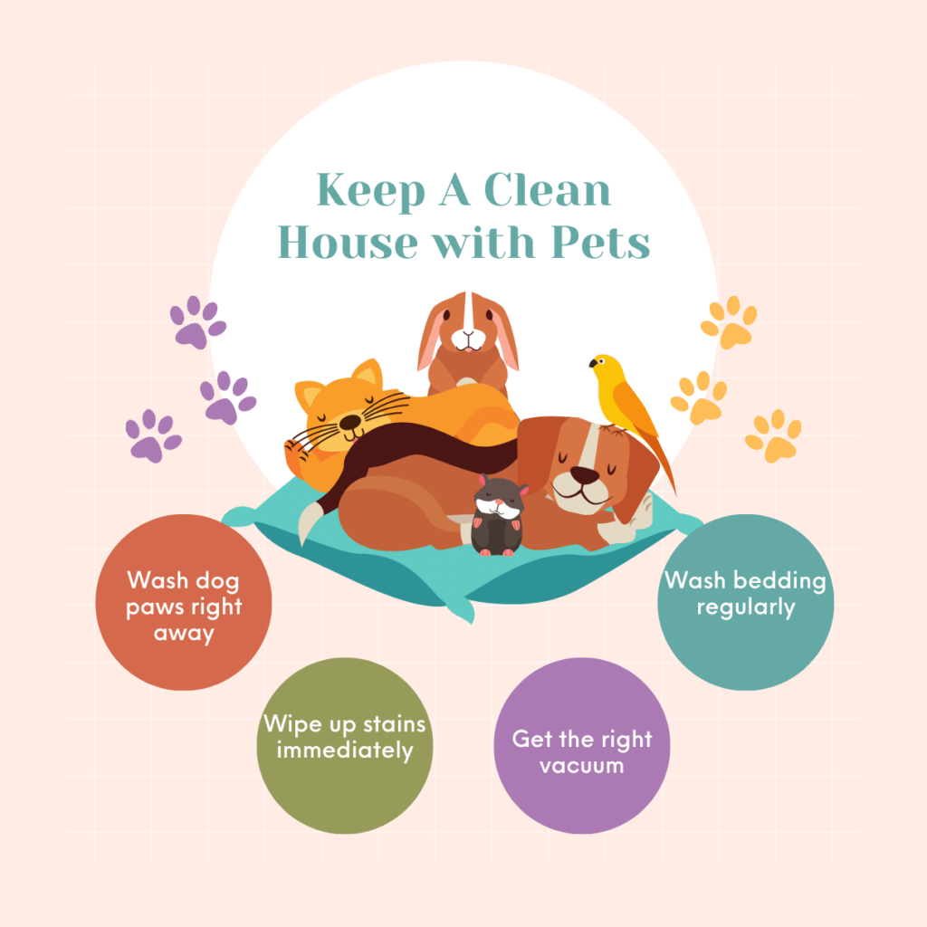 5 Pets Templates Bundle - MasterBundles
