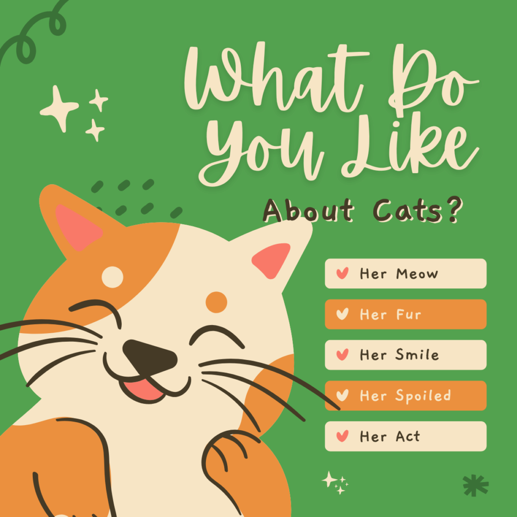 Smart Cat - MasterBundles