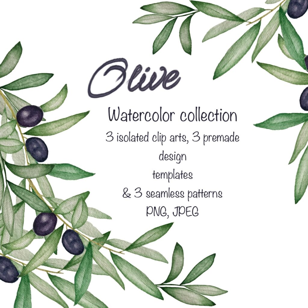 Hand painted watercolor collection of olive branches. - MasterBundles