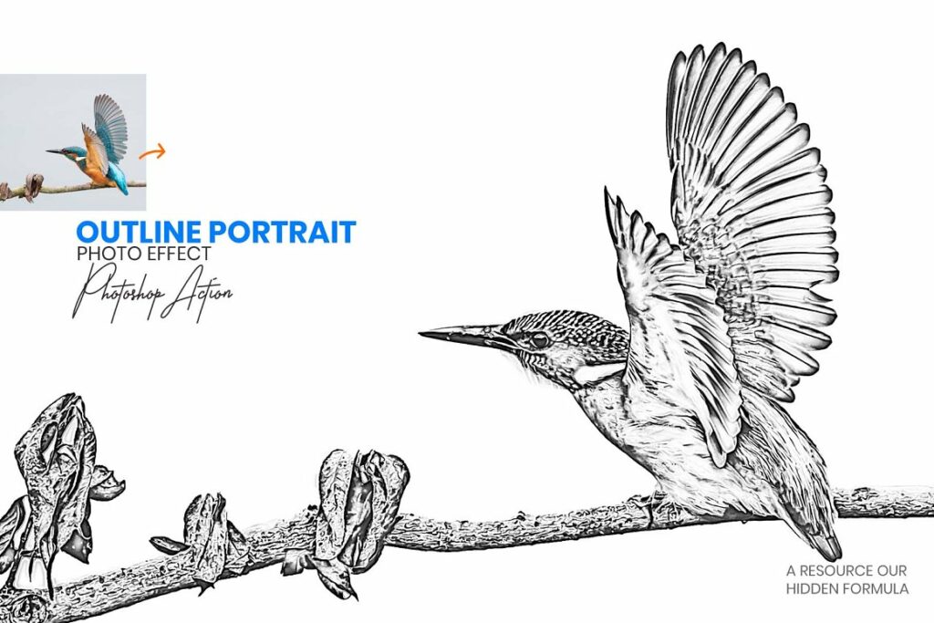 Outline Portrait Photoshop Action - MasterBundles
