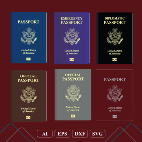 USA Passport Design Vector, Passport SVG, Passport EPS - MasterBundles