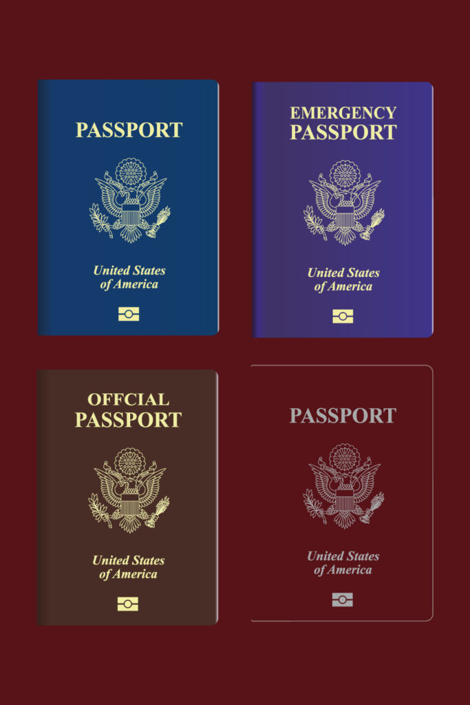 USA Passport Design Vector, Passport SVG, Passport EPS - MasterBundles