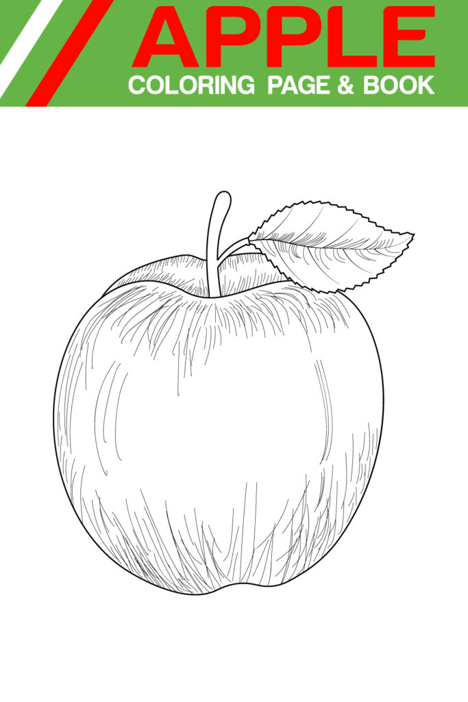 Apple Fruits outline illustration vector - MasterBundles