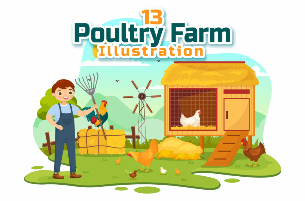 13 Poultry Farm Vector Illustration - MasterBundles