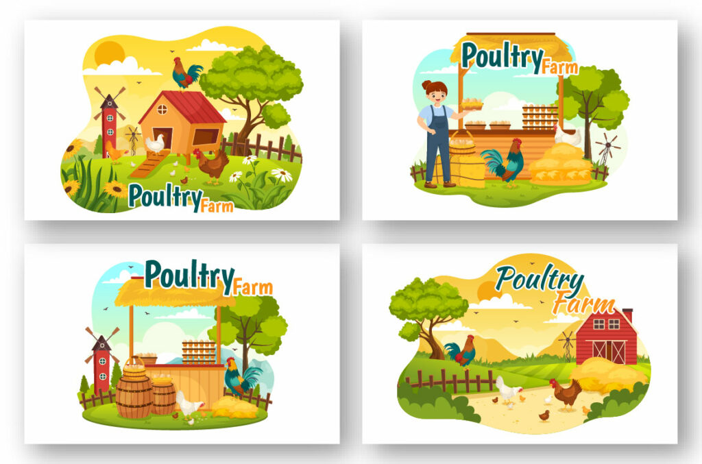 13 Poultry Farm Vector Illustration - MasterBundles