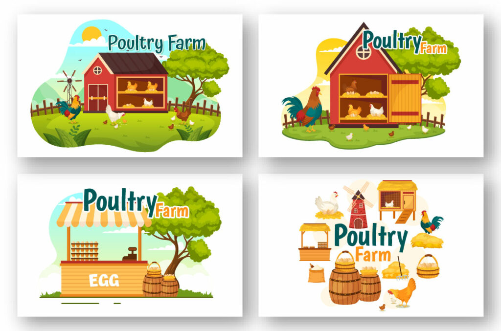 13 Poultry Farm Vector Illustration - MasterBundles