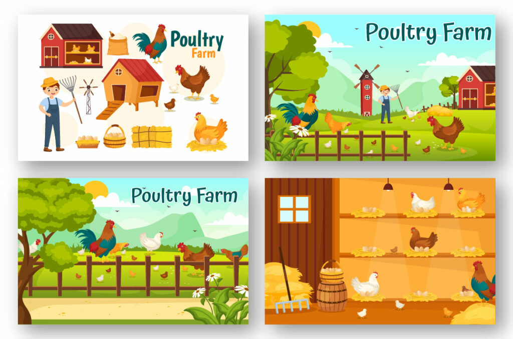 13 Poultry Farm Vector Illustration - MasterBundles