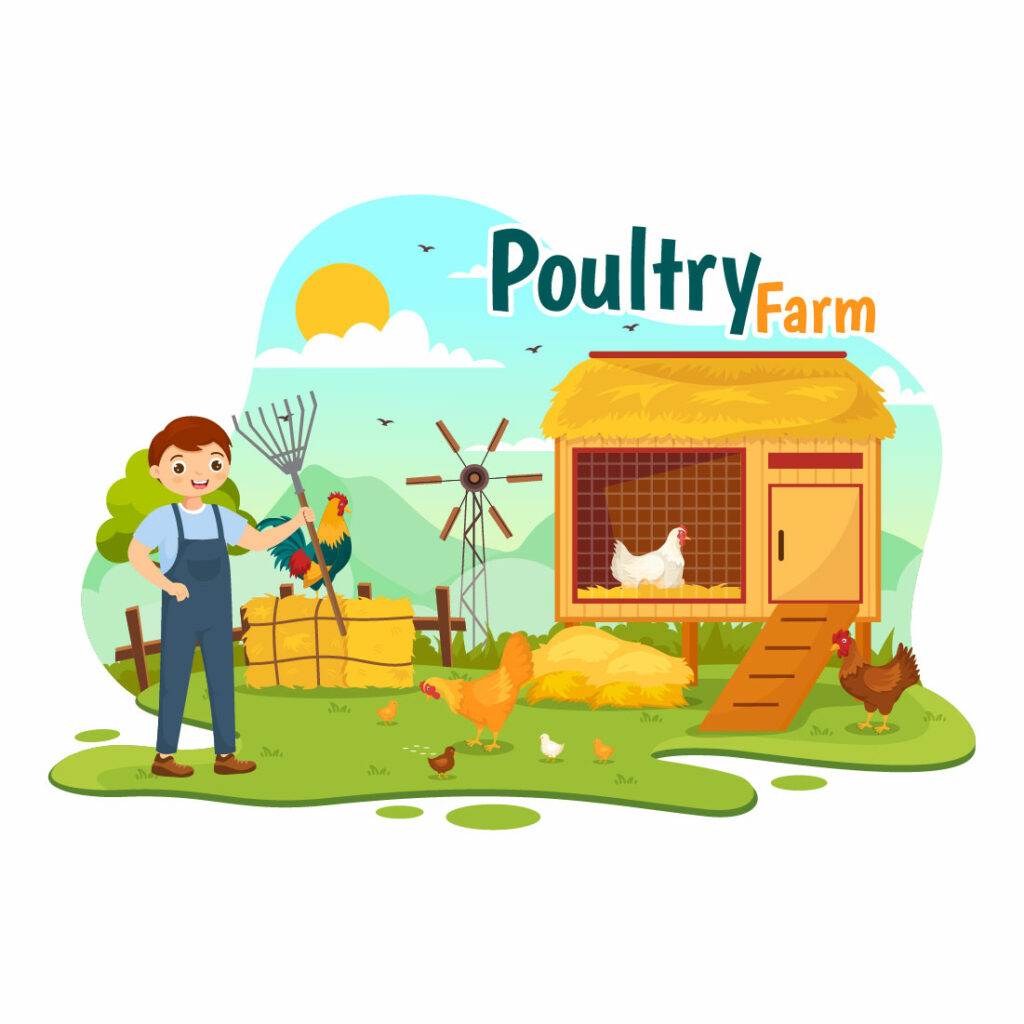 13 Poultry Farm Vector Illustration - MasterBundles