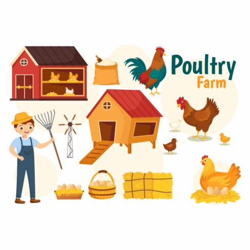 13 Poultry Farm Vector Illustration - MasterBundles
