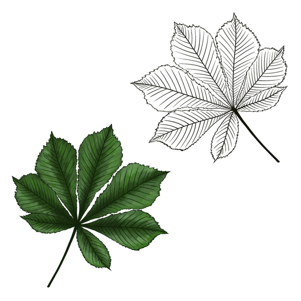 Collection of seamless patterns of chestnut leaves - MasterBundles
