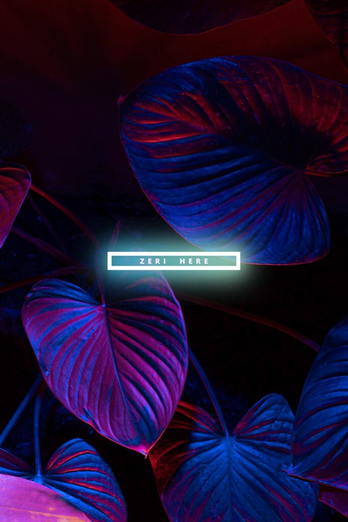 5 Name tags logo with classic fonts. - MasterBundles