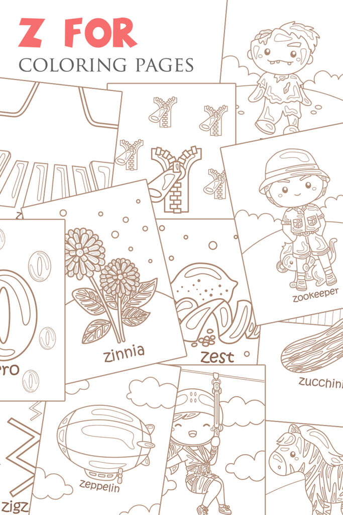 Alphabet Z For Vocabulary School Letter Reading Writing Font Study ...