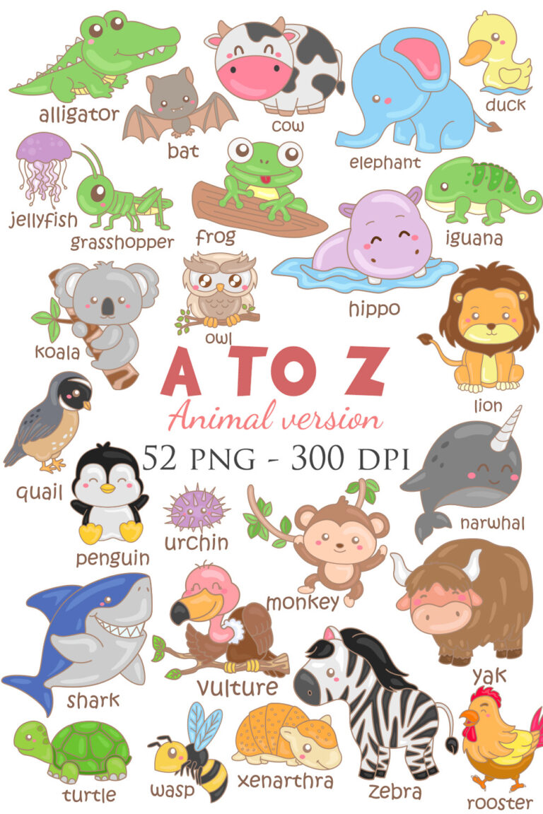 Alphabet A to Z Animal Version Vocabulary School Lesson Letter Reading ...