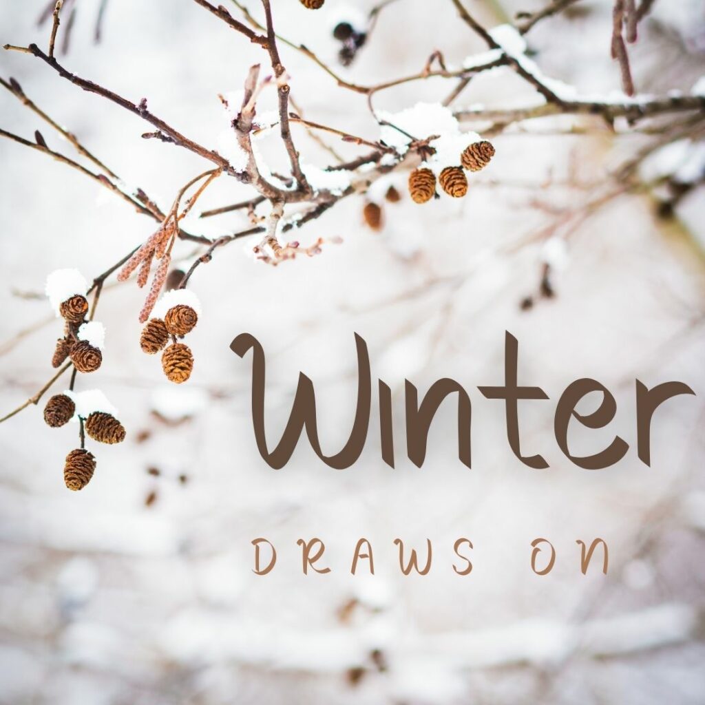 Lila Mae Fancy Sans Serif Font - MasterBundles