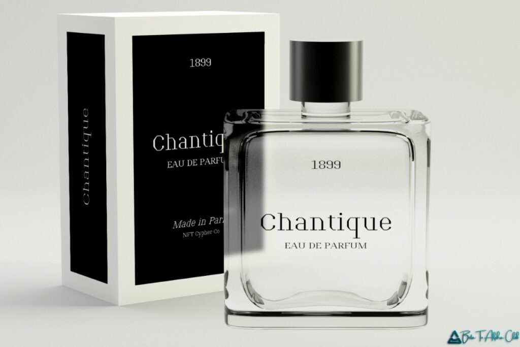 Acquiro - Elegant Serif Font Family - Master Bundles