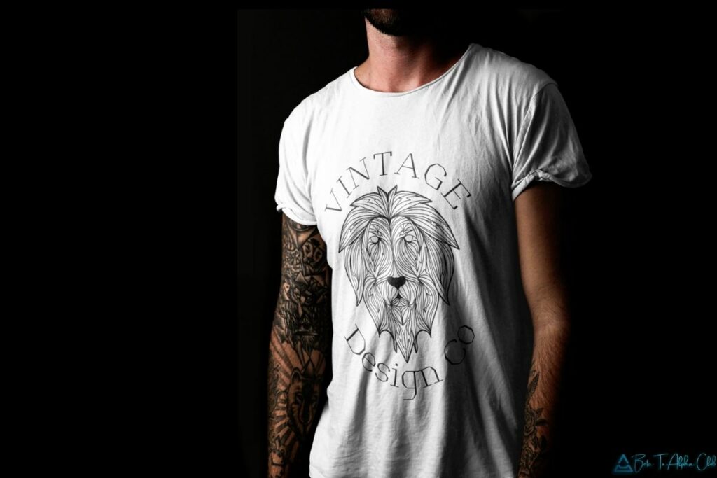 Acquiro - Elegant Serif Font Family - Master Bundles