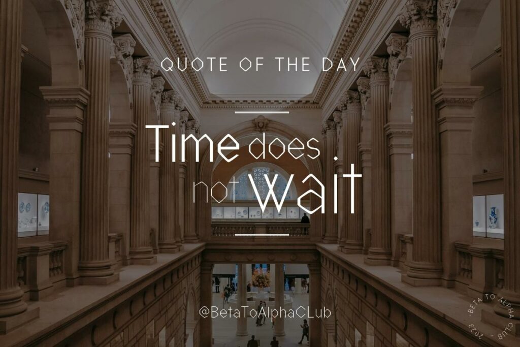 Excolo | Sans Serif Family | - MasterBundles