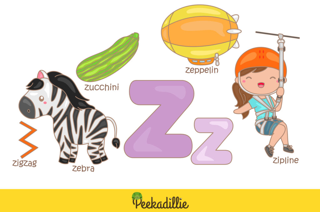 Alphabet Z For Vocabulary School Letter Reading Writing Font Study ...